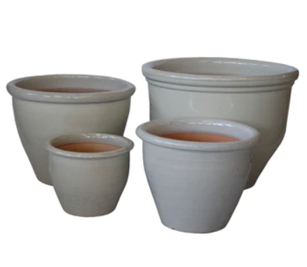 What are the Advantages of Using White Plant Pots? – Royal Garden Centre