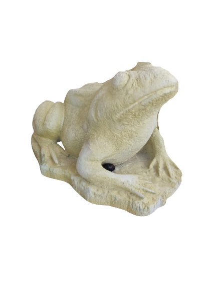Medium frog statue relic nebia 20cm height | Royal Garden Centre