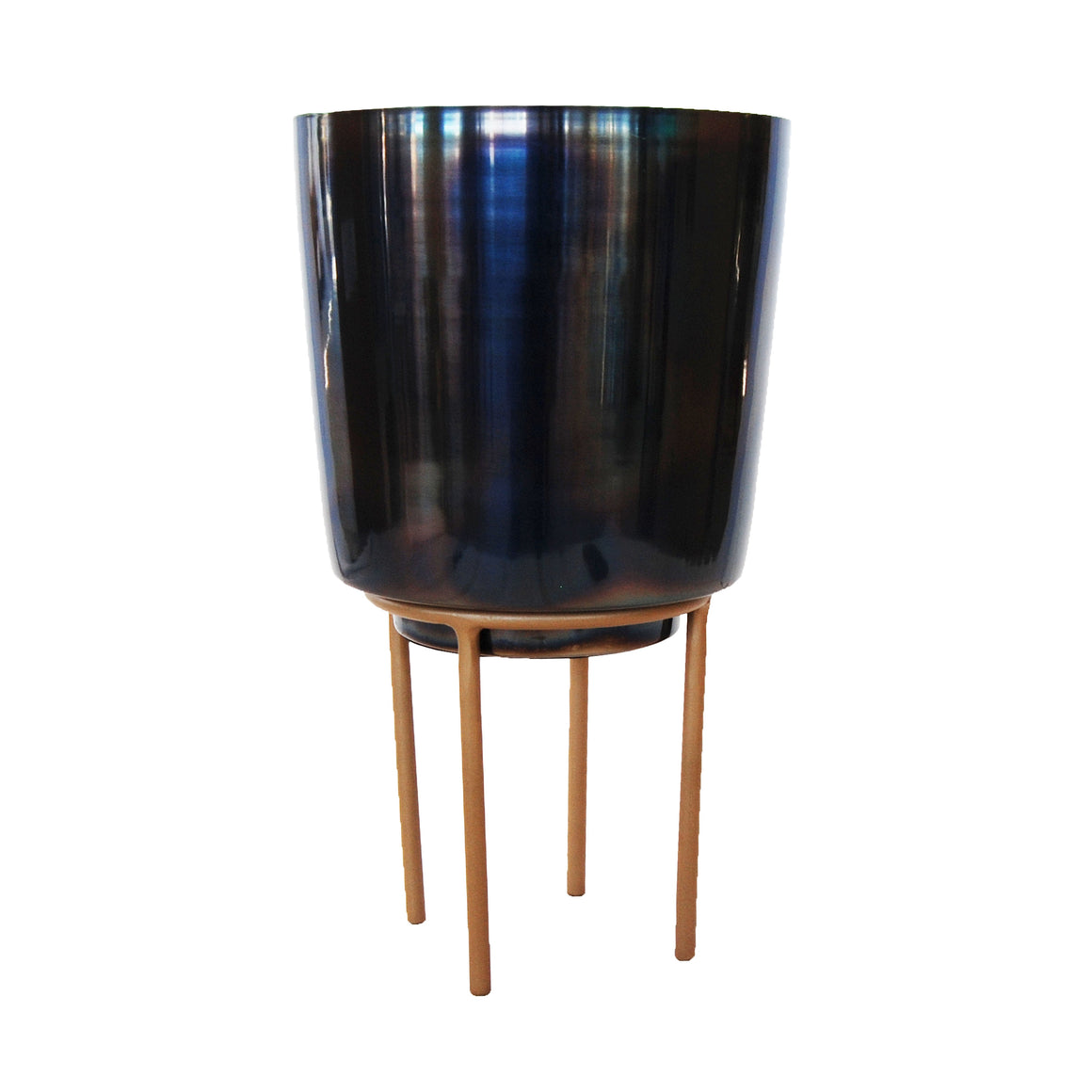 The UAE's Best Garden Centre – Royal Garden Centre